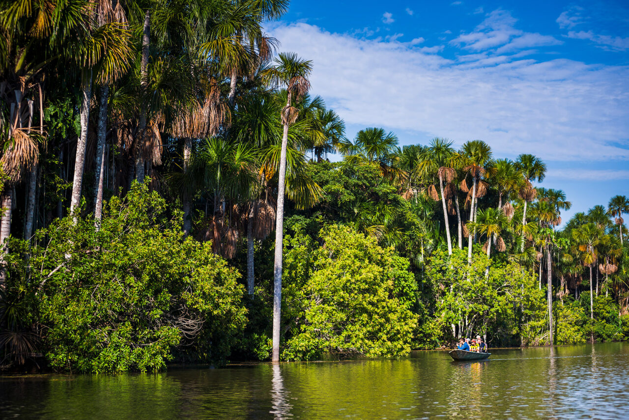 Descubre el Parque Nacional Madidi: Un Tesoro Natural en Bolivia | CPILAP